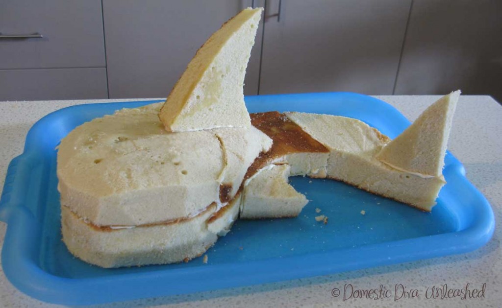 Shark Birthday Cake and Shark Fin Cup Cakes — Domestic Diva Unleashed